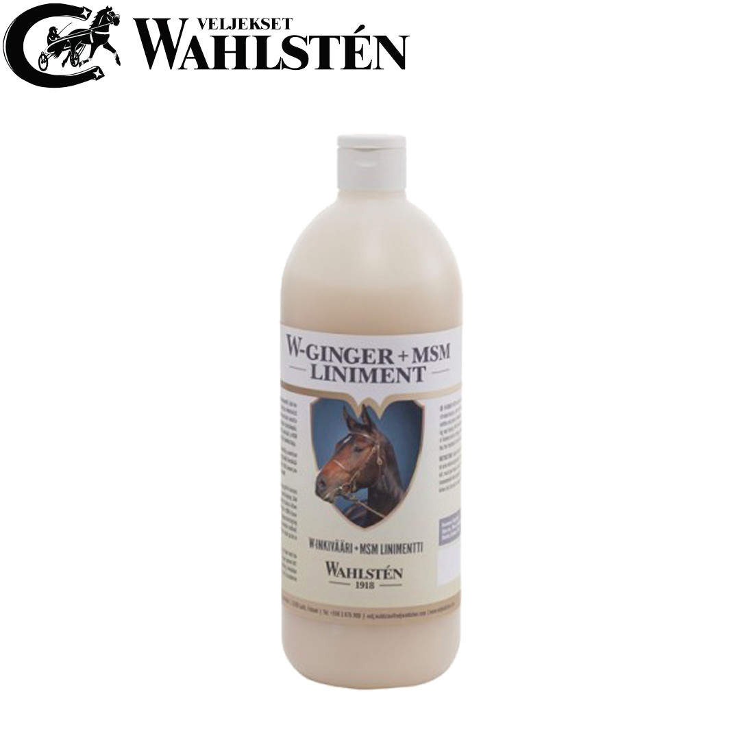 W-GINGER+MSM LINIMENT